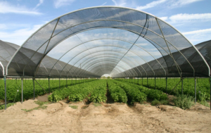 How Agriculture Nets Support Climate Change-Smart Farming